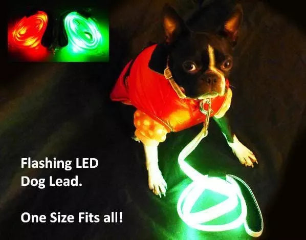 Light Up Dog Lead | Rechargeable USB | LED Dog Lead – wiggles and wags